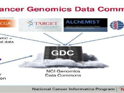 University of Chicago to Establish Genomic Data Commons