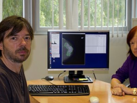 Breast Density: New Software Developed by Spanish Researchers
