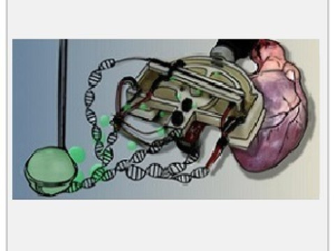 New Device Promises Rapid Molecular Diagnosis