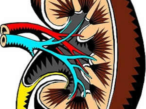 Augmented renal clearance: the need for guidelines