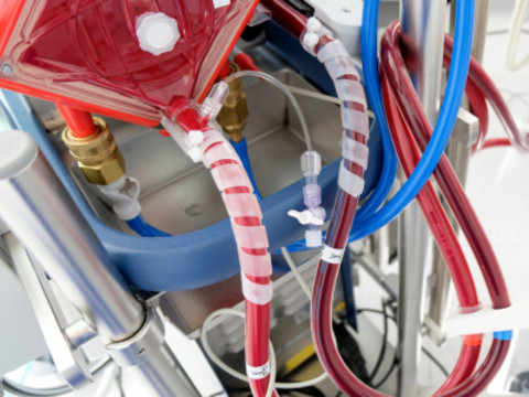 Models for predicting outcome in patients under VA-ECMO