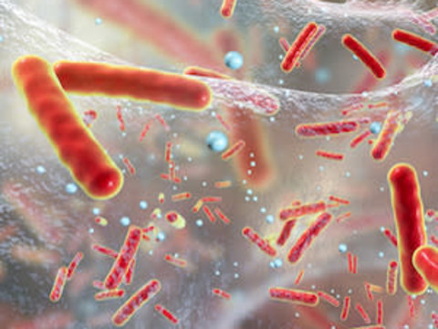 Efficacy, Appropriateness of Antibiotic Use in Patients With Sepsis