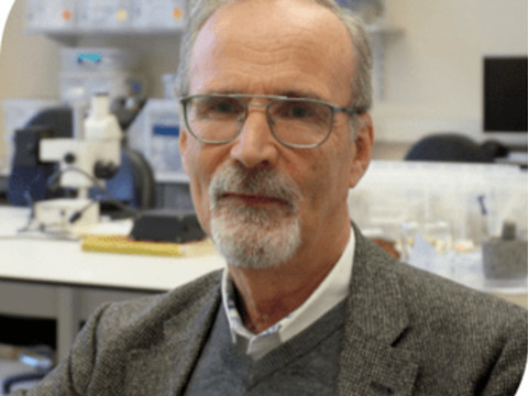 Appointment of Professor Tim Maughan as New Chair Leads Way in Tackling ...