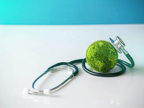 Global Organisations and Their Impact on Sustainable Healthcare Systems