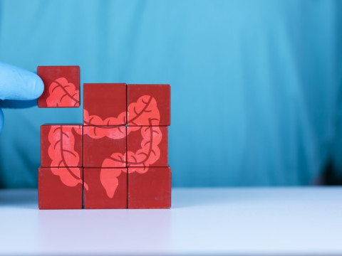 Imaging Techniques for Crohn Disease and Ulcerative Colitis