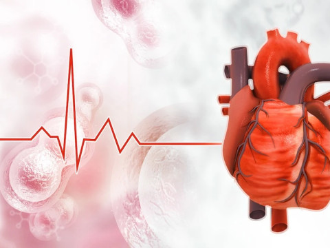 A New Paradigm for AF Management: The AFNET/EHRA Consensus