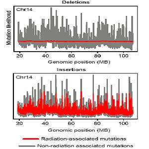 Radiation and DNA Damage - HealthManagement.org
