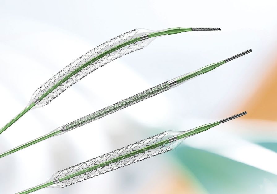 Health Management and Leadership Portal | Coronary stent / cobalt ...