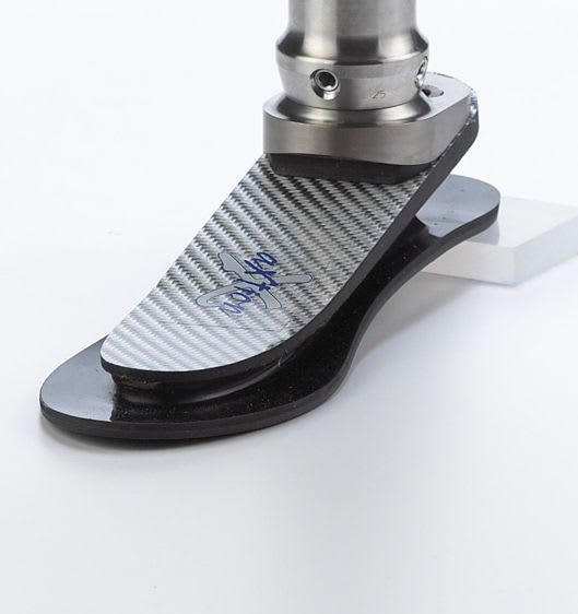 Health Management and Leadership Portal | Foot prosthesis (lower ...