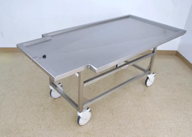 Health Management and Leadership Portal | Autopsy cart / bariatric ...