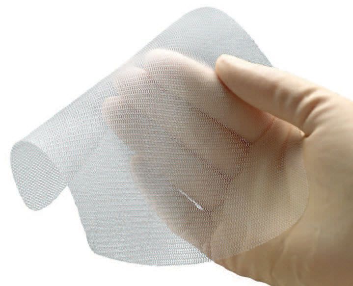 Health Management and Leadership Portal | Inguinal hernia prosthesis ...