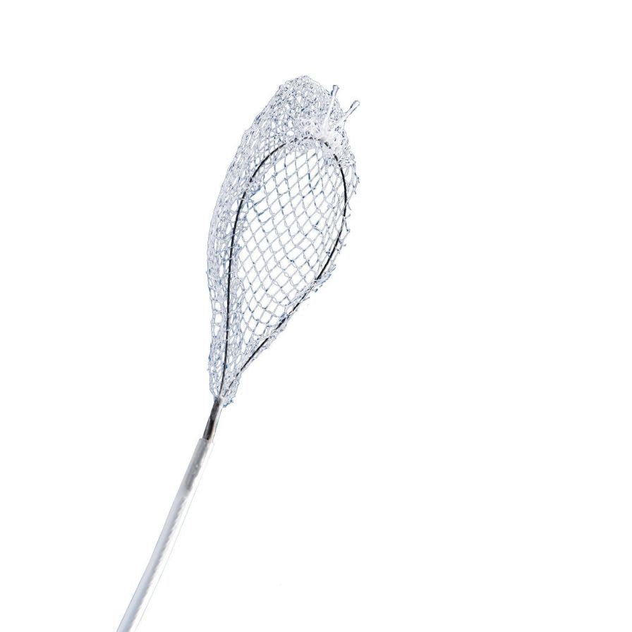 Health Management and Leadership Portal | Kidney stone extraction ...