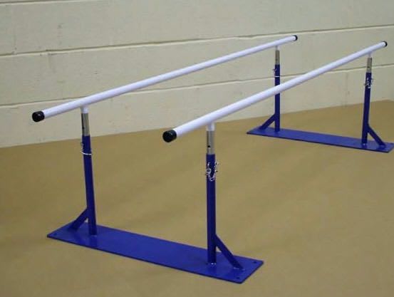 Health Management and Leadership Portal | Pediatric rehabilitation ...