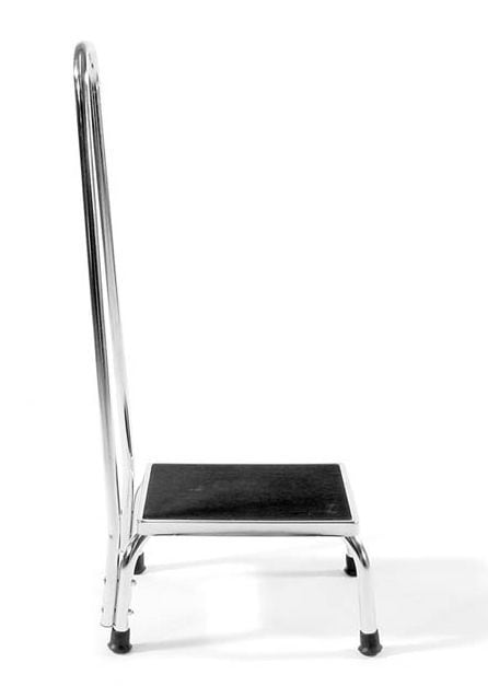 Health Management and Leadership Portal | 1-step step stool 101 Intensa ...