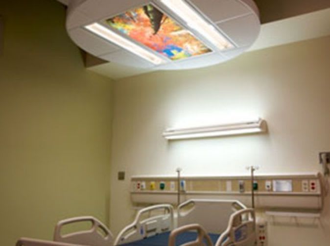 Health Management and Leadership Portal | Ceiling-mounted lighting ...